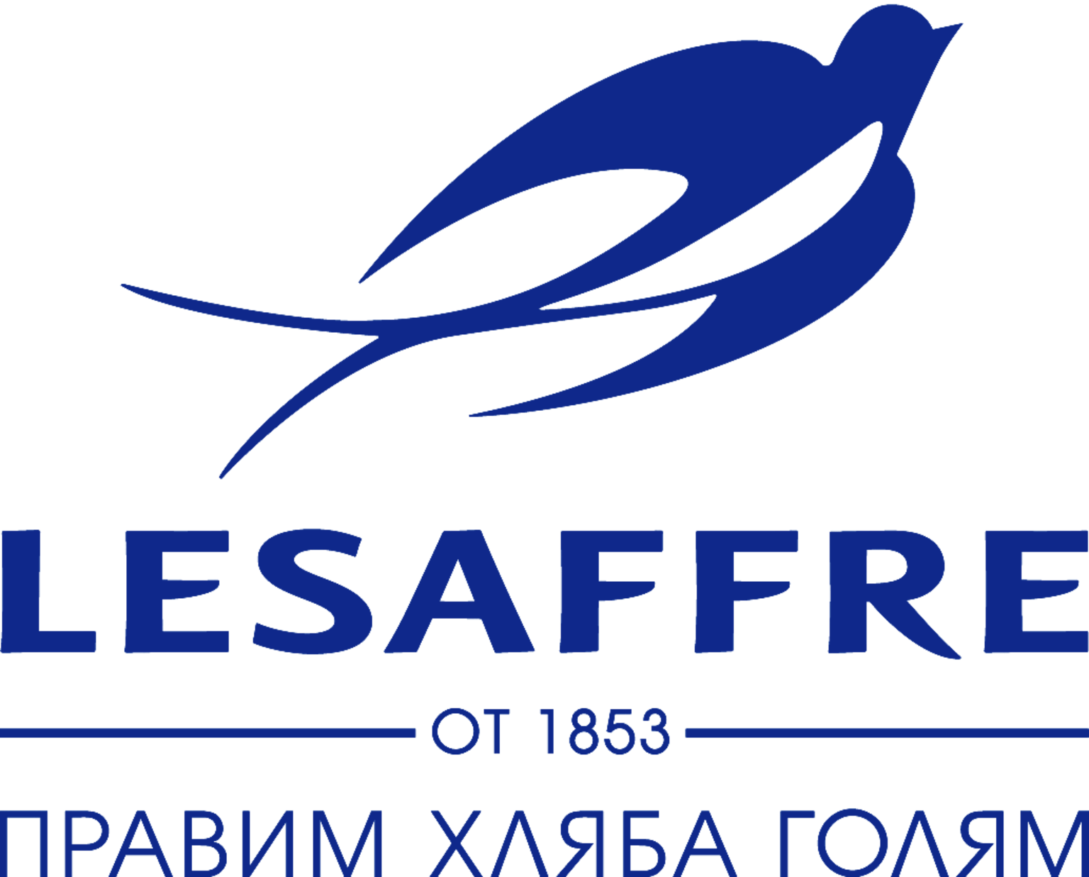 Job offer - Company Accountant (Lesaffre Bulgaria) | CCI France Bulgarie